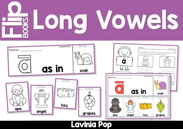 Long Vowel Flip Books and Worksheets