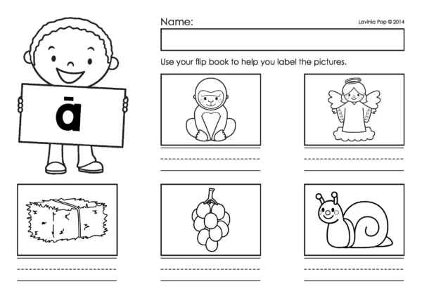 Long Vowel Flip Books and Worksheets