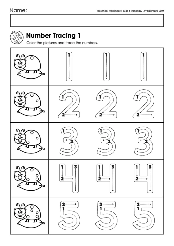 Bugs & Insects Preschool Worksheets and Activities No Prep
